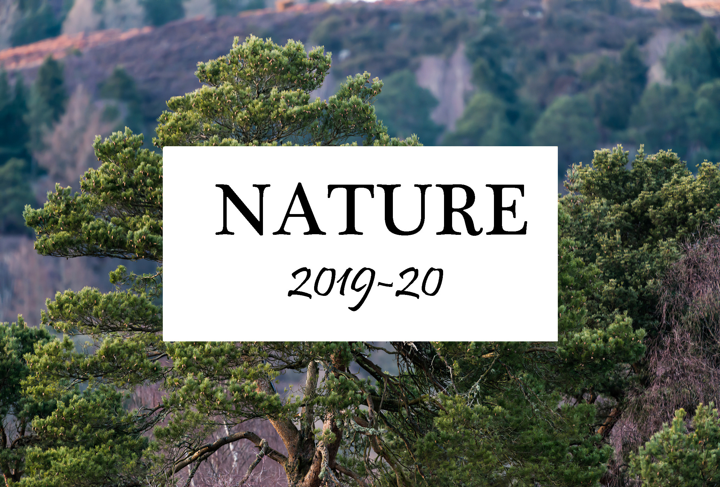 Nature, Season 2019-20 – Chester Photographic Society