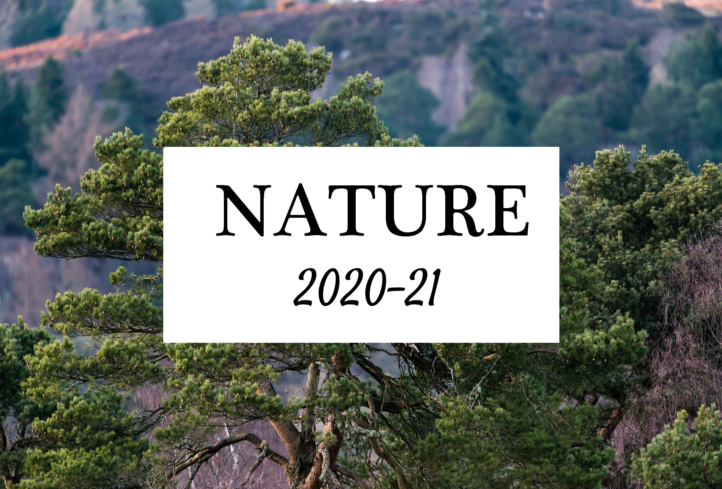 Nature Competition, 2020-21 – Chester Photographic Society