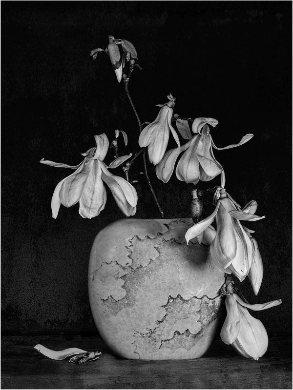 Monochrome Competition – Chester Photographic Society